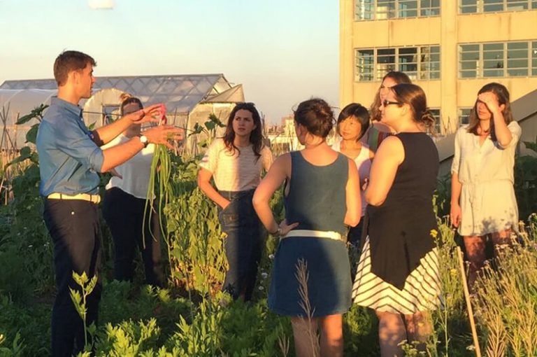 Improve Your Brain Health with Brain Foods | Dr. Drew Ramsey MD