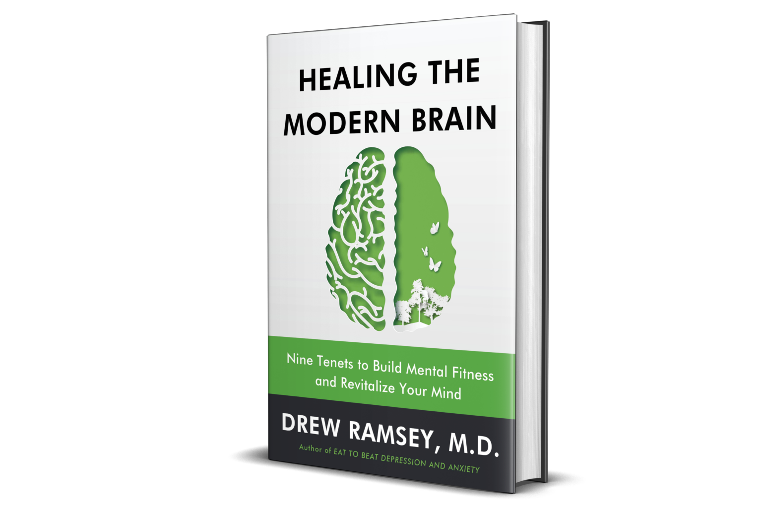 Healing the Modern Brain Book | Dr. Drew Ramsey MD
