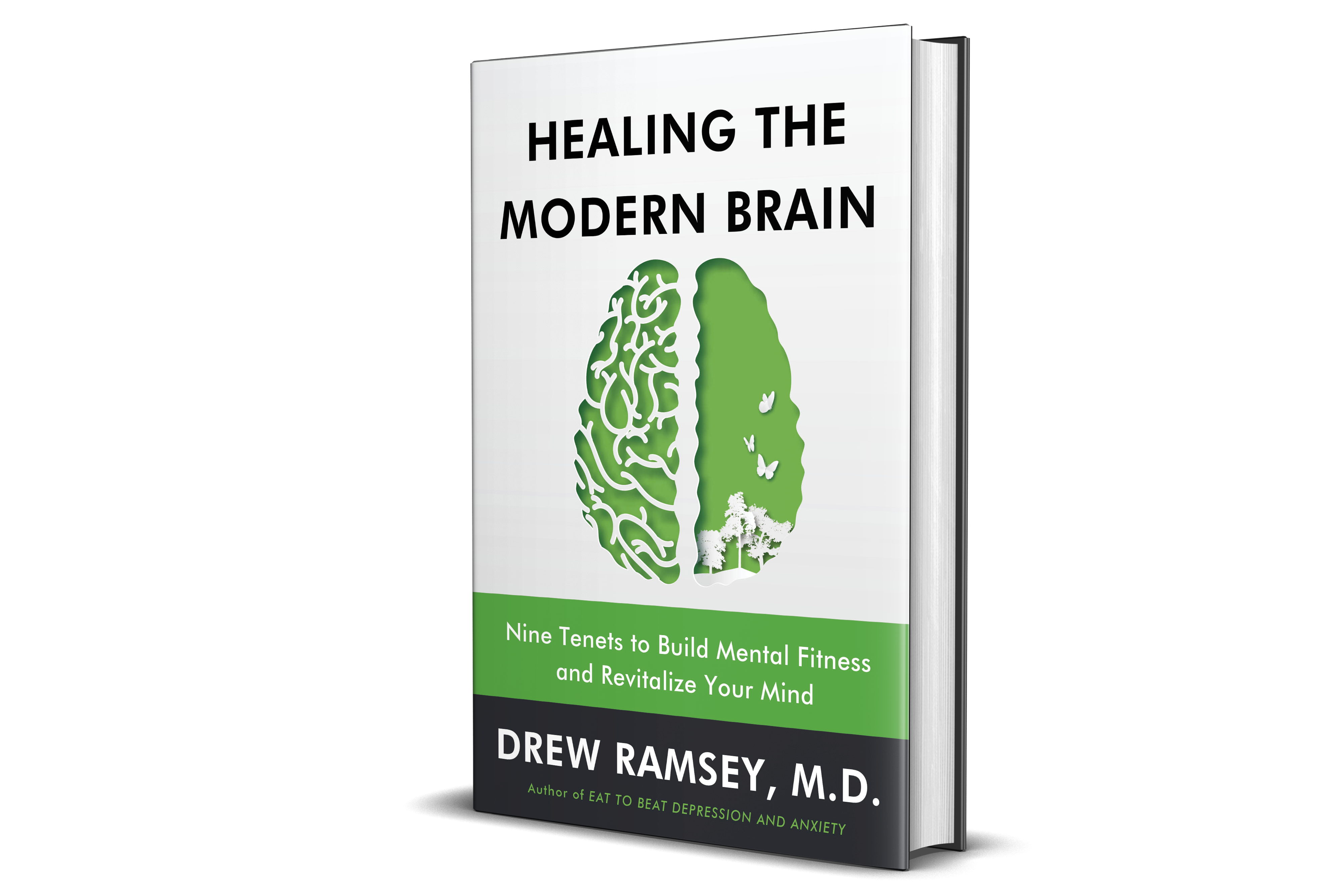 Why I Wrote 'Healing the Modern Brain': A Mental Framework for Our Time ...